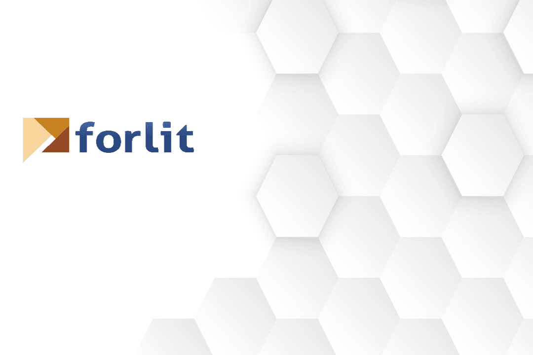 FORLIT, a.s. | Company