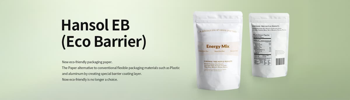 Company | Hansol Paper