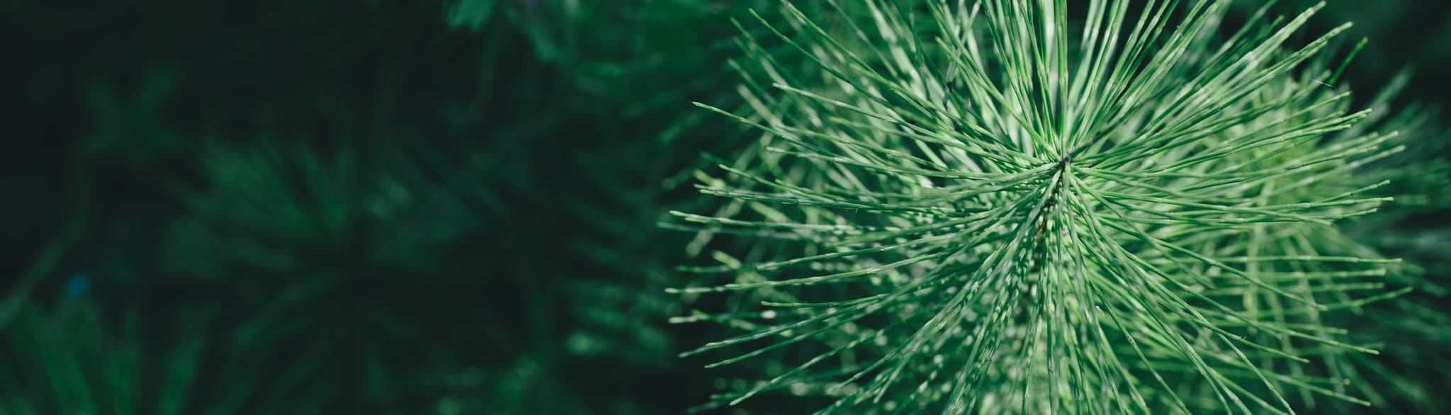 Walki Group | Unternehmen