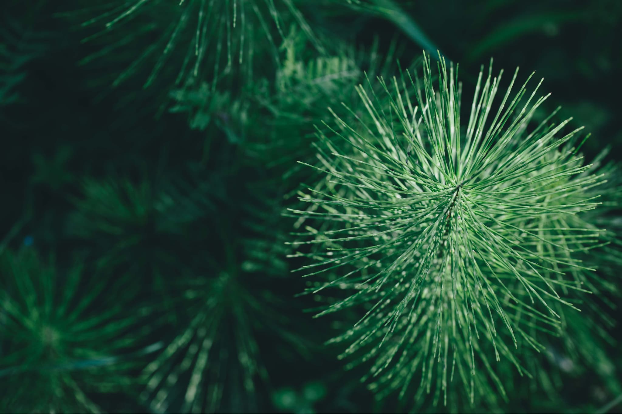 Walki Group | Unternehmen